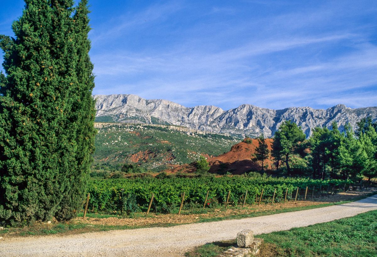 DOMAINE RICHEAUME – Provenzalische Weine aus biologischem Anbau seit 1975